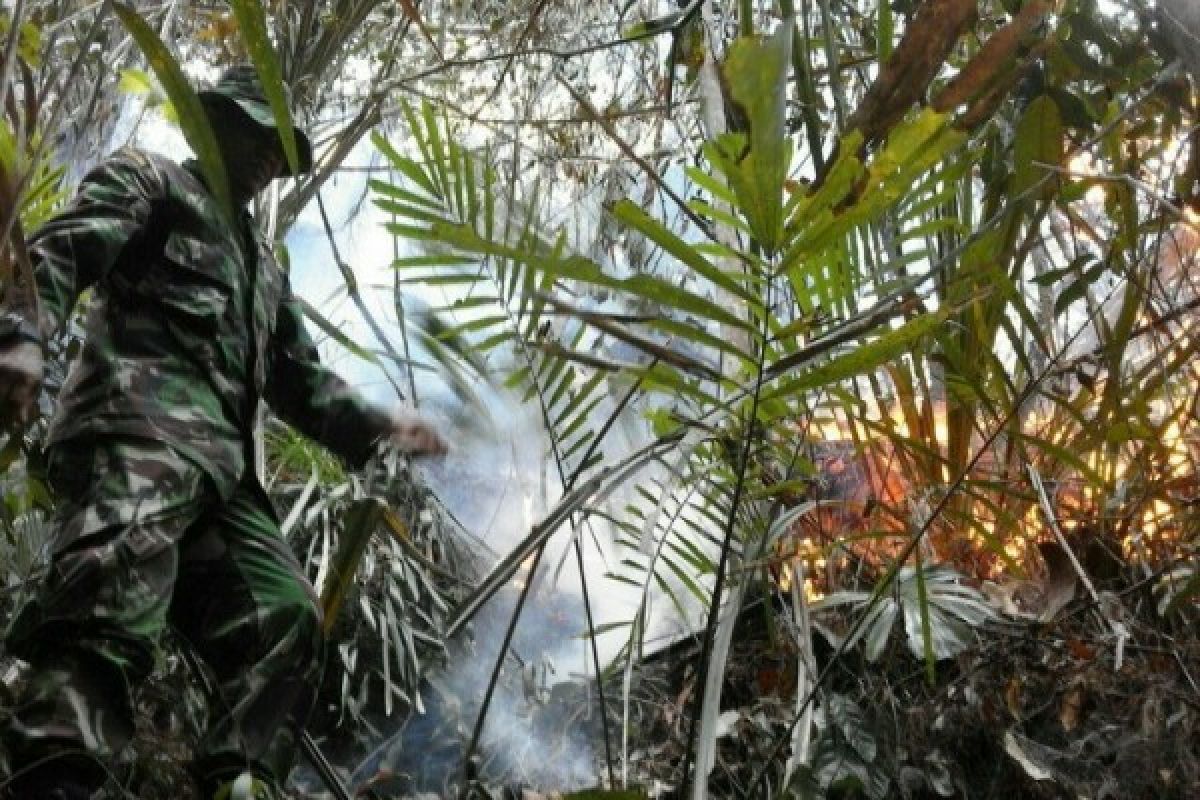 Rohaniawan: eksploitasi hutan untuk perkebunan sawit mengancam hutan ... Rohaniawan: eksploitasi hutan untuk perkebunan sawit mengancam hutan ...