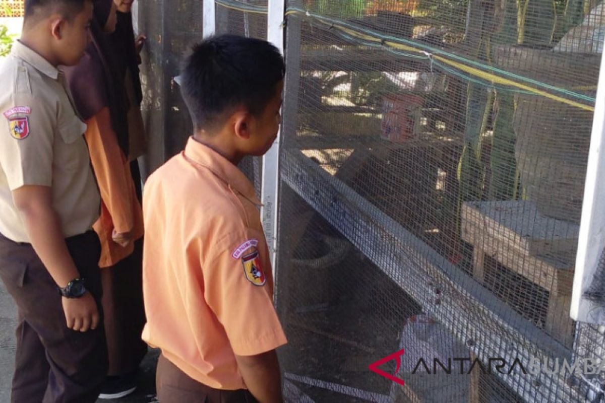 Kebun binatang mini membuat siswa SMAN-2 Padang Pariaman betah di ...