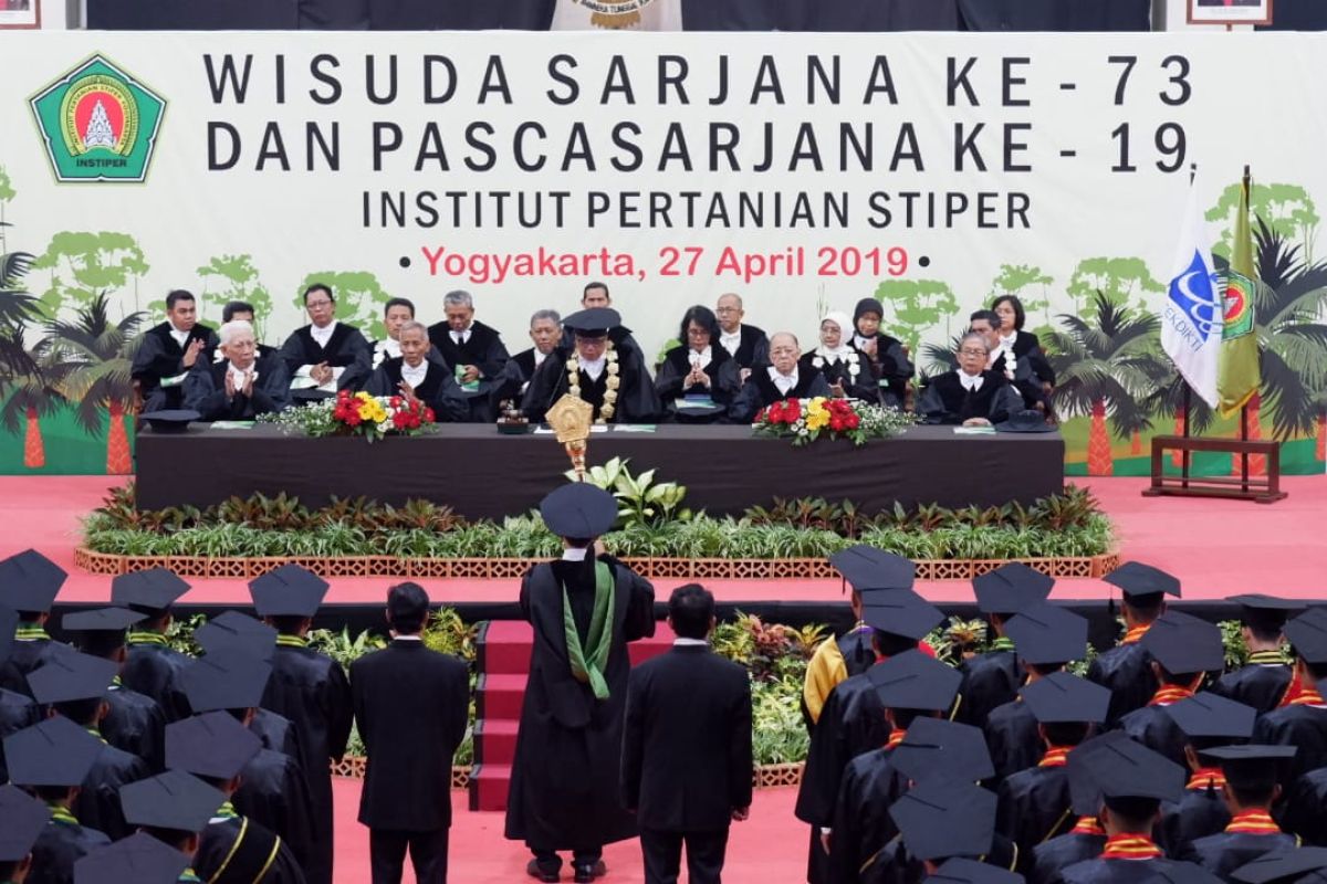 Wisudawan terbaik Instiper Yogyakarta asisten perusahaan kebun sawit - ANTARA News Yogyakarta ...