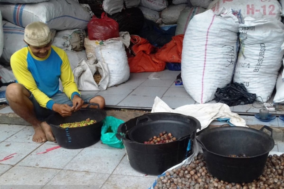 Harga bunga pala di Solok Rp150 perkilogram - ANTARA Sumbar