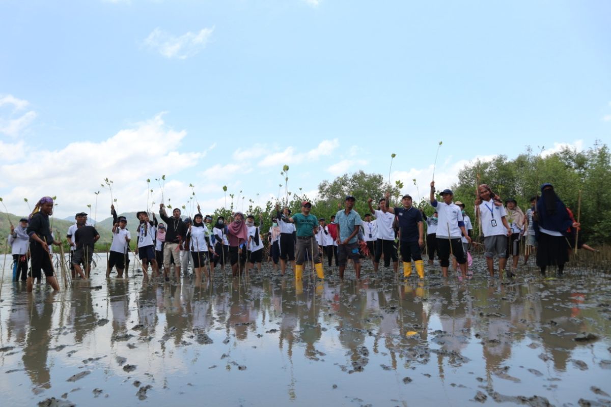 GenBI menanam 8.000 bakau di Ekowisata Mangrove Lombok Barat - ANTARA ...