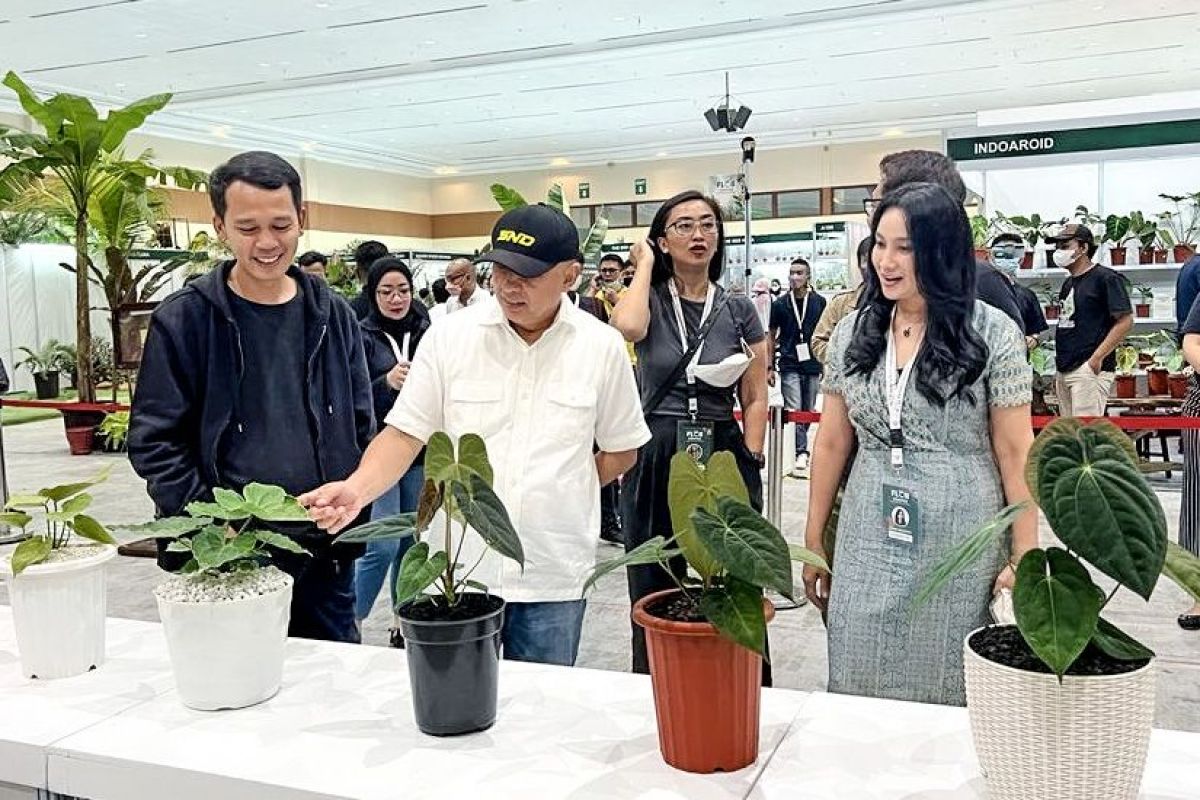 Indonesia sentra tanaman hias dunia - ANTARA News Yogyakarta - Berita ... Indonesia sentra tanaman hias dunia - ANTARA News Yogyakarta - Berita ...
