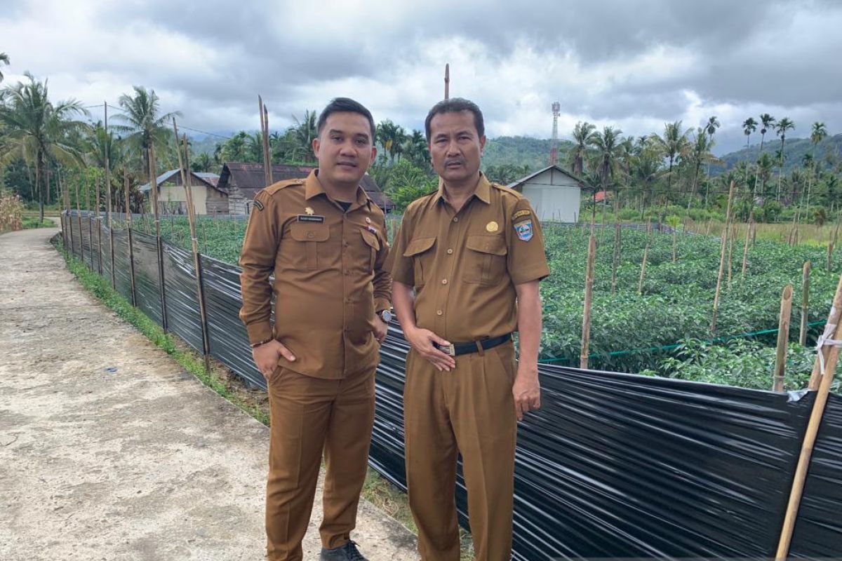 Realisasi penyaluran dana desa di Pasbar hingga Oktober 2022 capai 87 ...