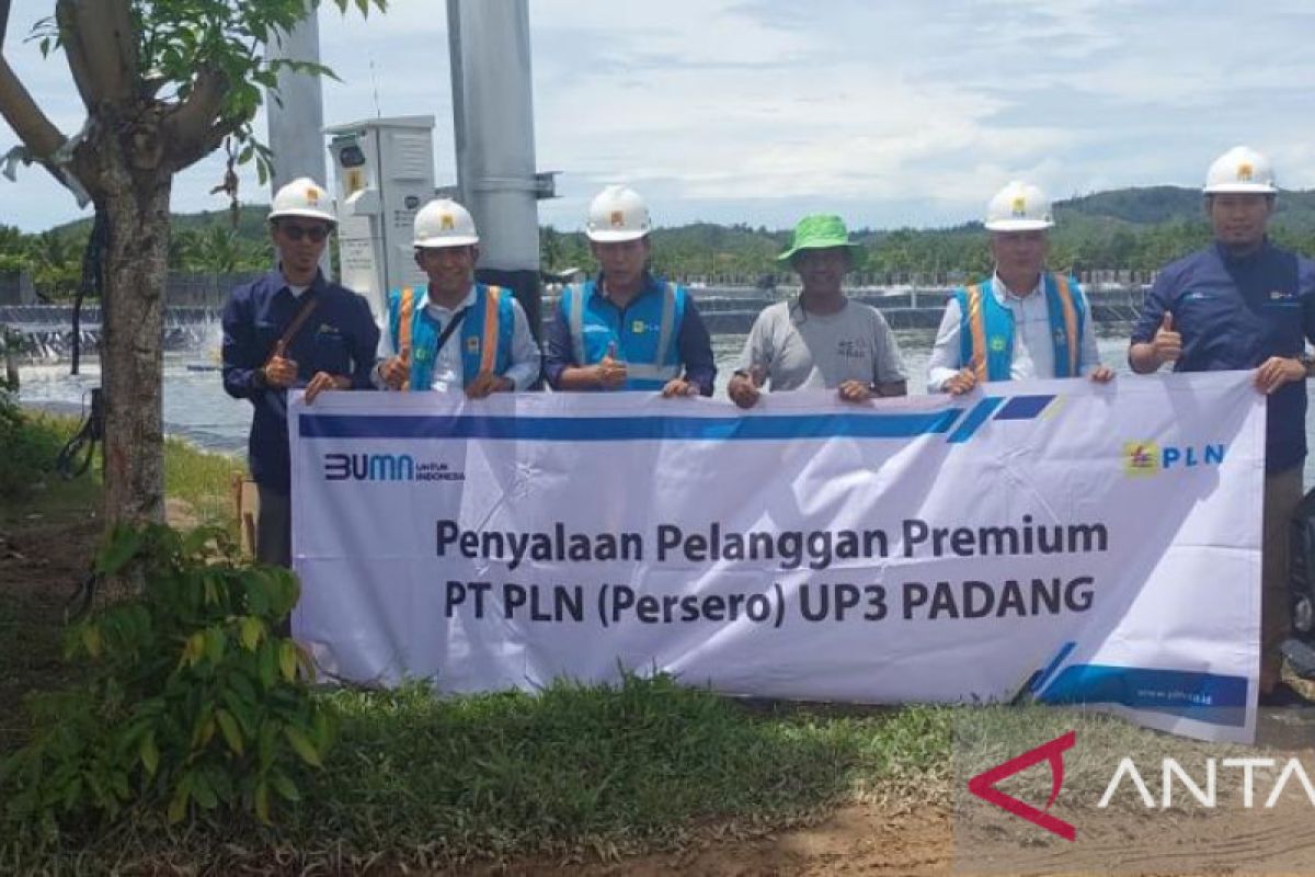 Aljumardi, pebisnis tambak udang di Pesisir Selatan pilih jadi pelanggan premium PLN - ANTARA Sumbar