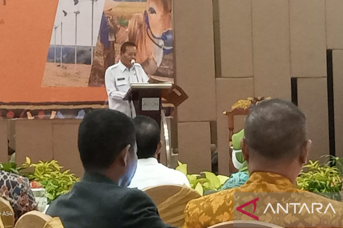 Pemda NTT dukung optimalisasi potensi SDA untuk energi terbarukan ...
