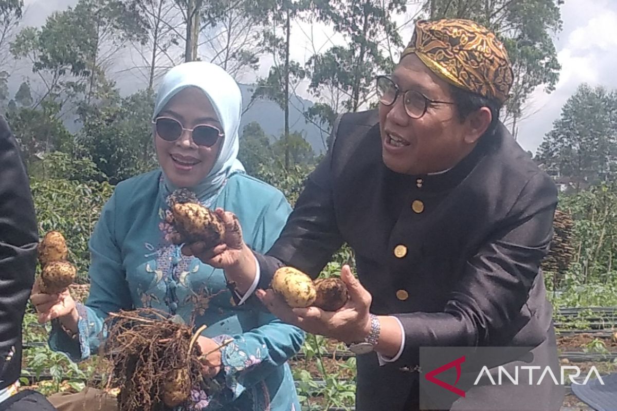 Mendes PDTT contohkan petani kentang asal Desa Pulosari yang bisa ...