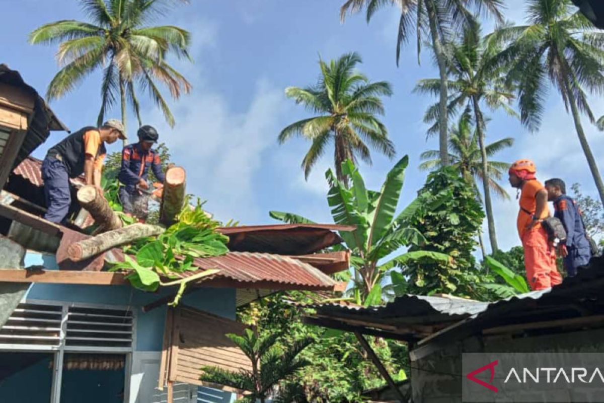 Cuaca ekstrim tumbangkan pohon dan timpa rumah di Tanah Datar, Bupati ... Cuaca ekstrim tumbangkan pohon dan timpa rumah di Tanah Datar, Bupati ...