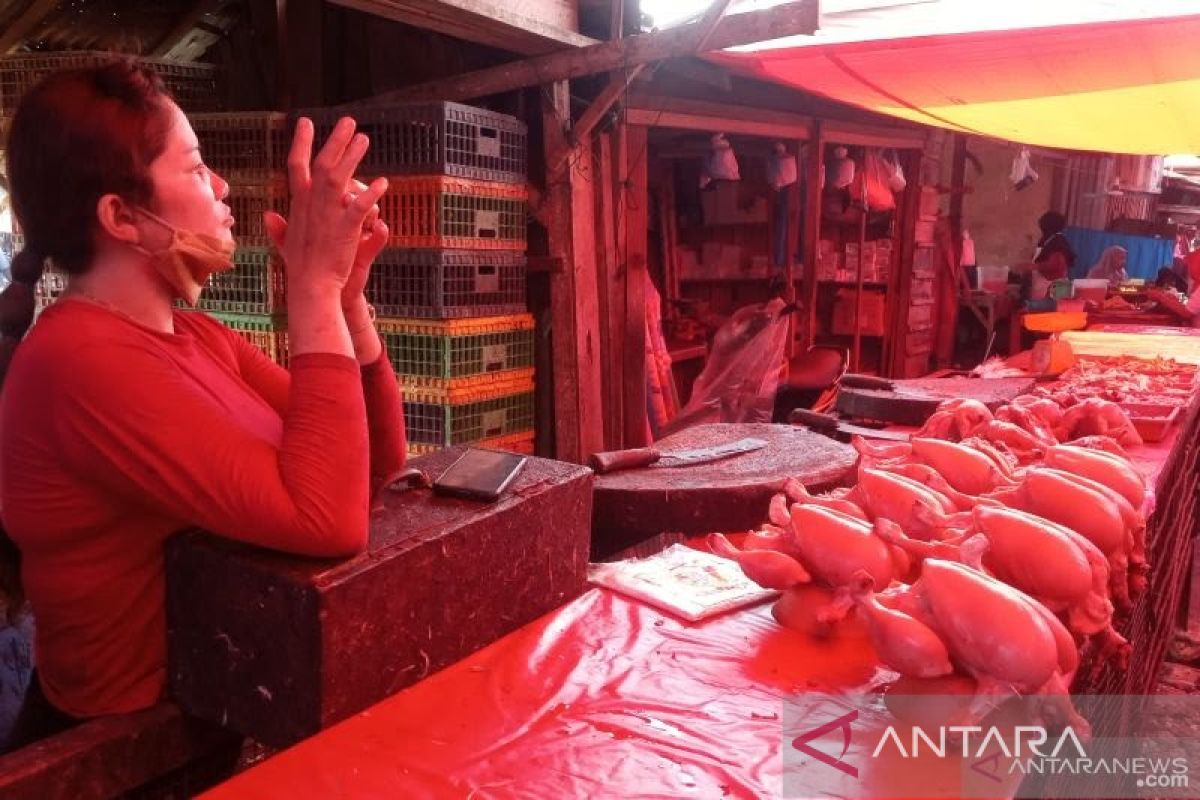 Harga ayam broiler di Agam naik dampak persediaan berkurang - ANTARA Sumbar
