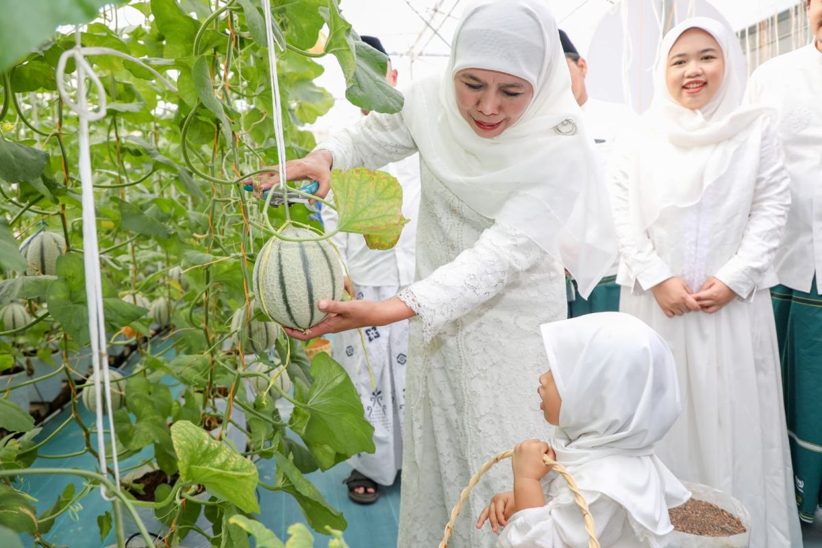 Green House Masjid Al Akbar jadi alternatif eduwisata - ANTARA News ... Green House Masjid Al Akbar jadi alternatif eduwisata - ANTARA News ...