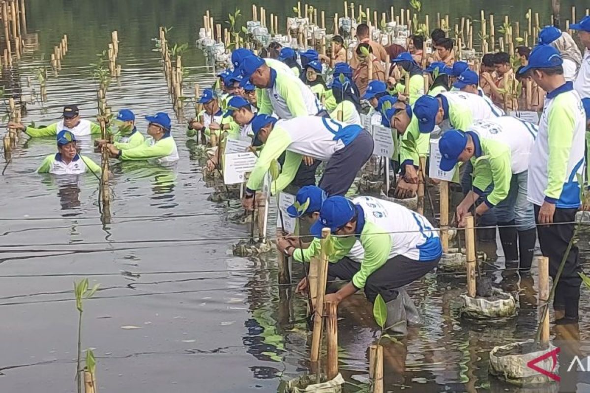 TransJakarta gandeng aneka mitra tanam mangrove - ANTARA News Mataram ... TransJakarta gandeng aneka mitra tanam mangrove - ANTARA News Mataram ...