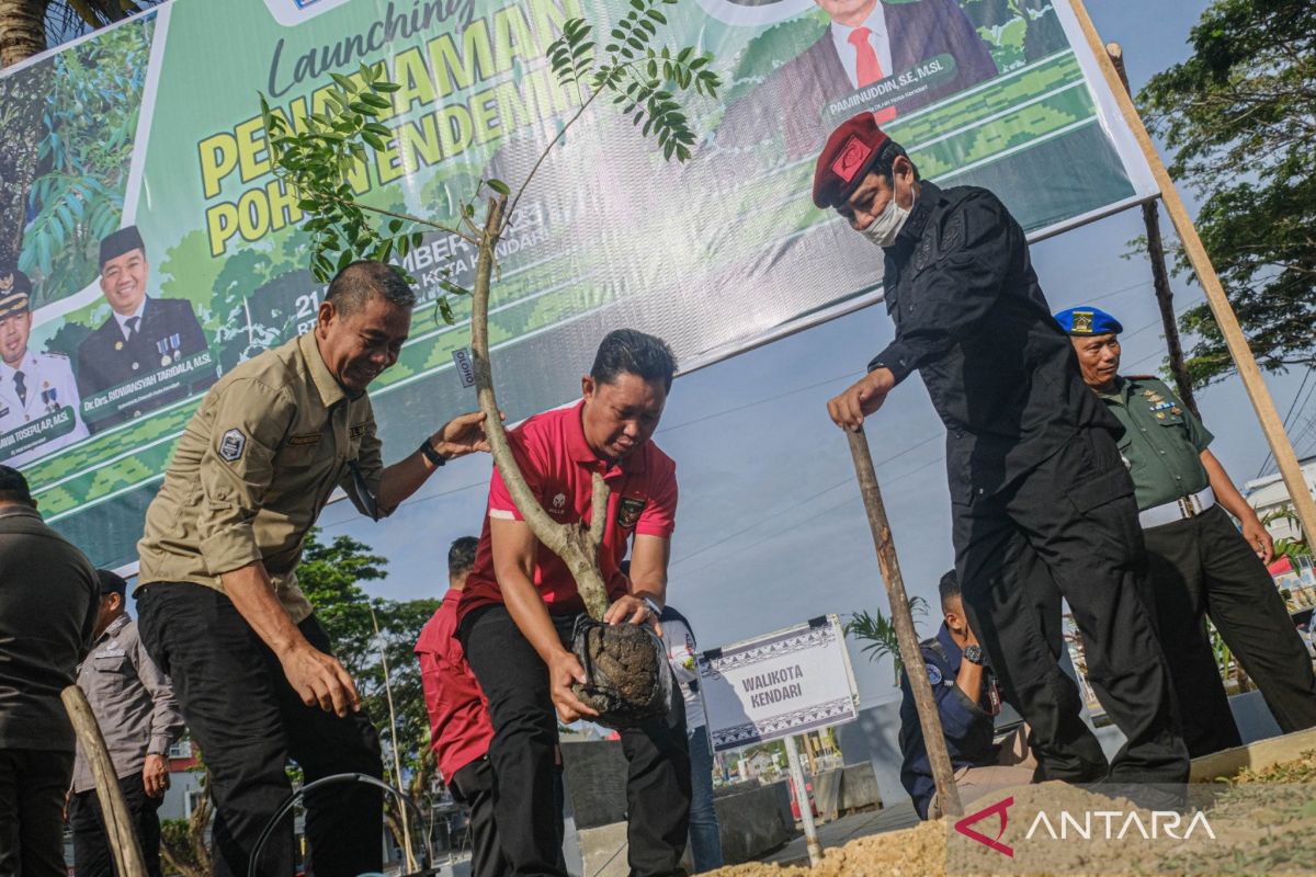 Pemkot Kendari tanam 100 pohon endemik di RTP Kali Kadia - ANTARA News Sulawesi Tenggara ...