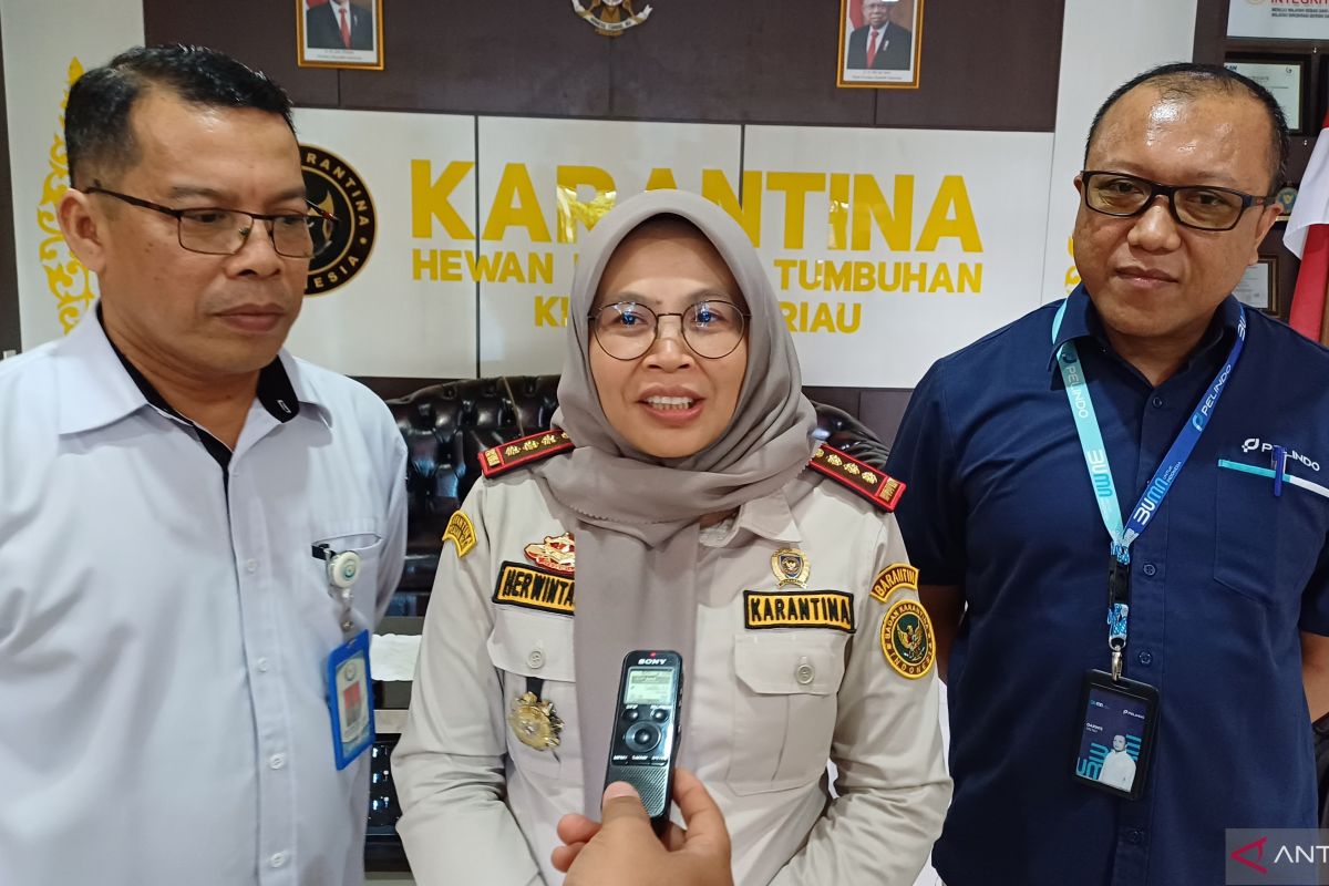 BKHIT Kepri implementasikan SSm-QC untuk mempermudah pelayanan ekspor - ANTARA News Kepulauan ...