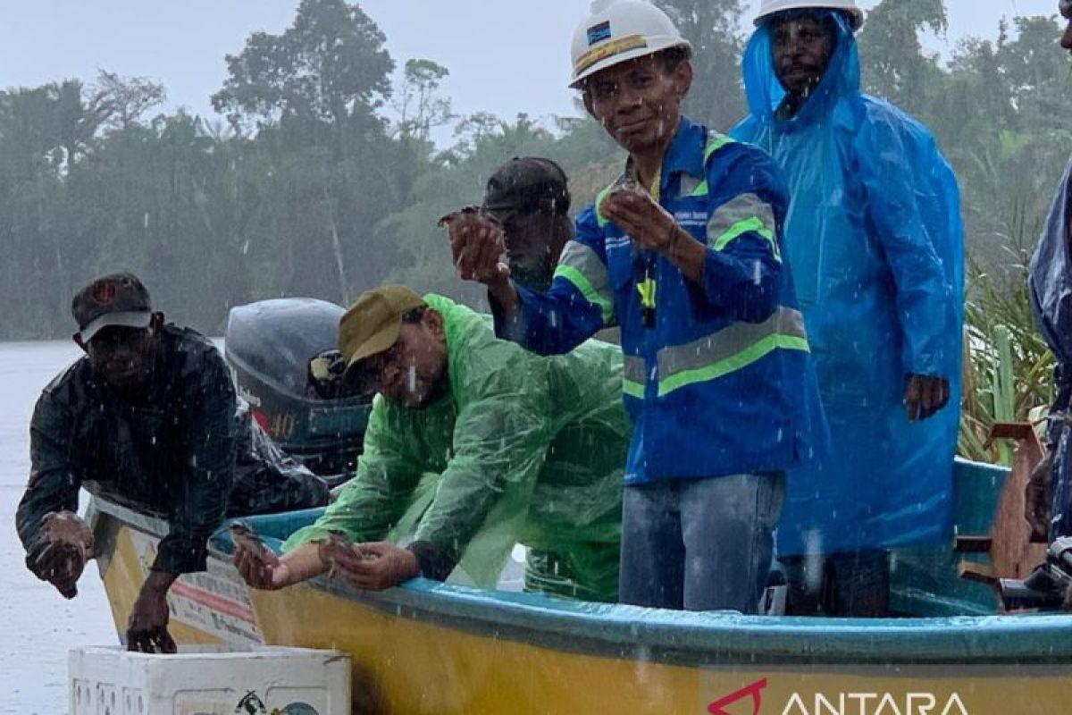 KLHK melepas 4.605 kura-kura moncong babi di Hutan Adat Nayaro Mimika ...