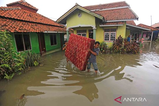 BPP Lampihong Kalsel tanam padi sistem apung hindari gagal panen akibat banjir - ANTARA News ...