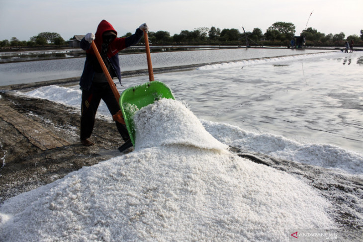 Salt washing plants can add value to salt production: KKP - British ...