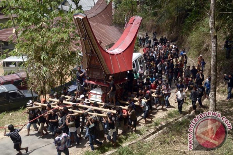 Prosesi Upacara Rambu Solo - ANTARA News