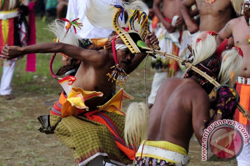 Tari Perang Caci Manggarai - ANTARA News