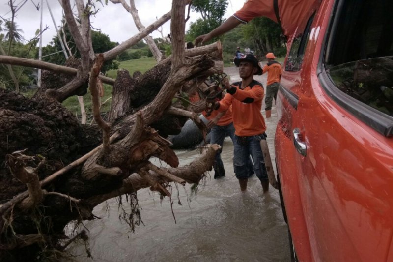 Bencana Hidrometeorologi Tewaskan 12 Orang Antara News Kupang Nusa