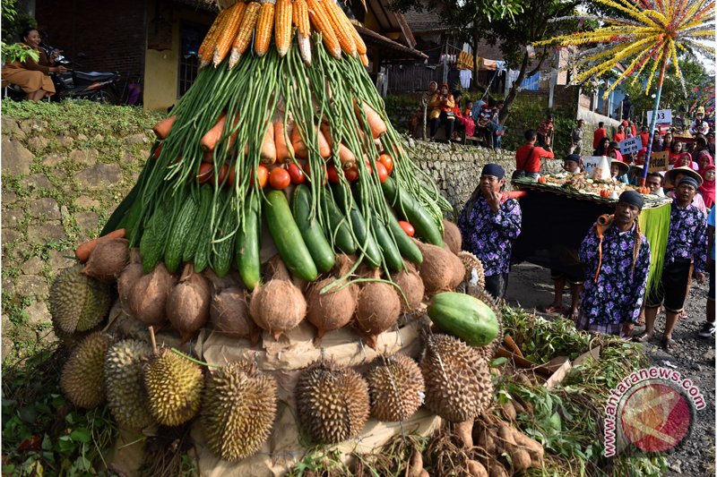 Tradisi Merti Bumi Gintungan - ANTARA News