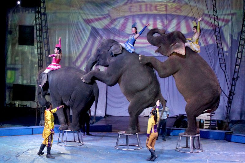 Pertunjukan Sirkus Hiburan Rakyat - ANTARA News