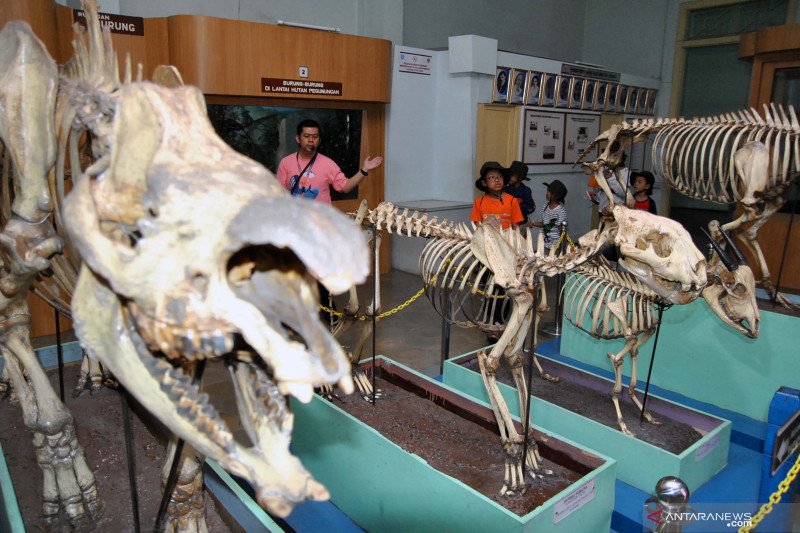 Peringatan 125 tahun Museum Zoologi - ANTARA News
