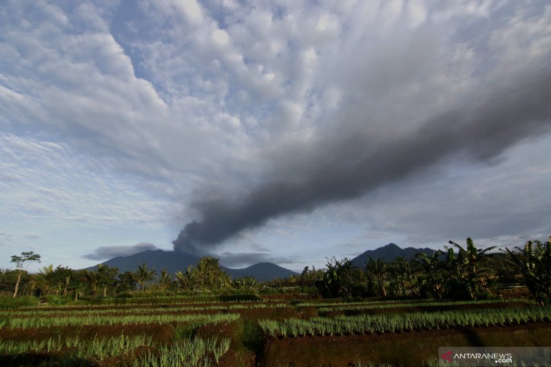 Erupsi Gunung Raung - ANTARA News
