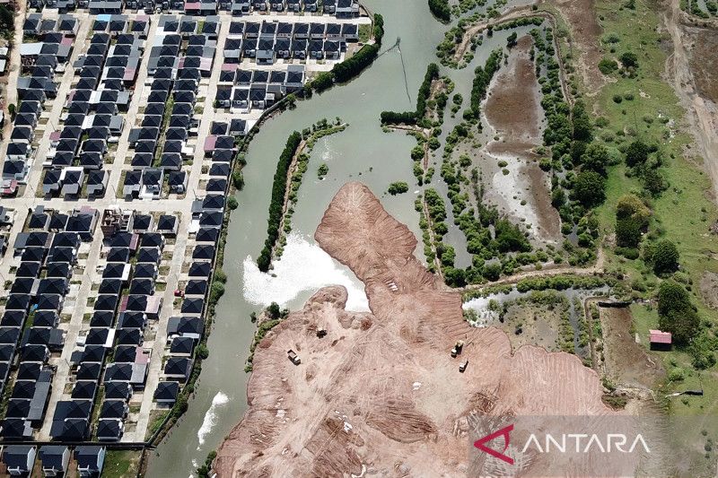 Hutan mangrove di pesisir Aceh kian menyusut - ANTARA News