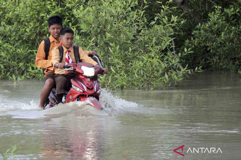 Banjir rob rendam Rokan Hilir di Riau - ANTARA News
