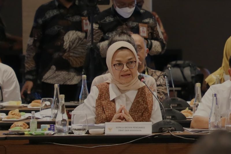 BPOM kawal keamanan pangan kepala negara dan menteri di KTT G20 - ANTARA News