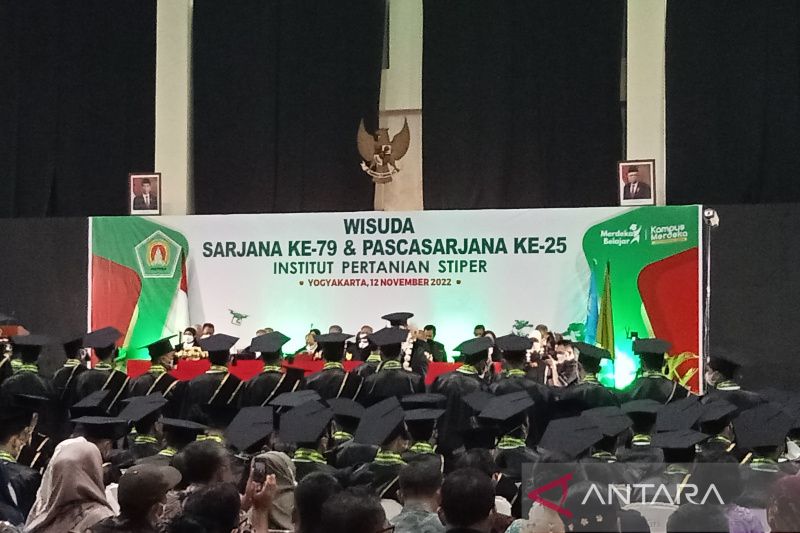 117 sarjana Instiper Yogyakarta sudah diterima kerja sebelum wisuda ...