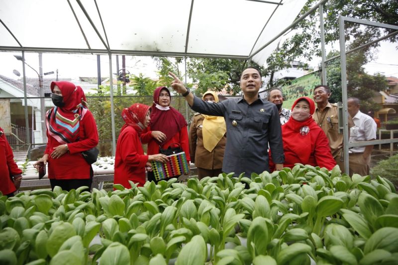 DLH: Proklim bagian upaya pengendalian iklim di Surabaya - ANTARA News