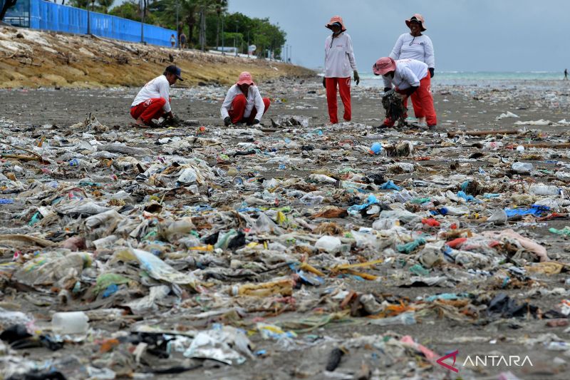 Sampah laut cemari Pantai Kuta - ANTARA News