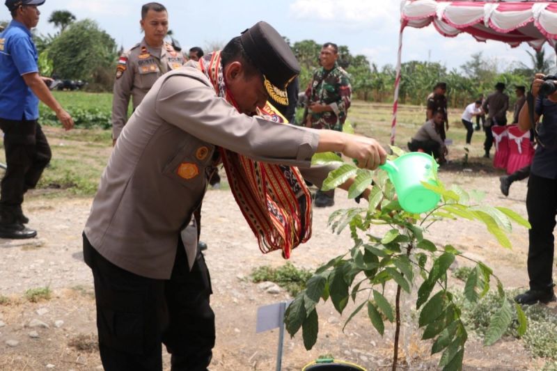 Wakapolda pimpin gerakan menanam pohon di SMKN I Kupang - ANTARA News Kupang, Nusa Tenggara ...