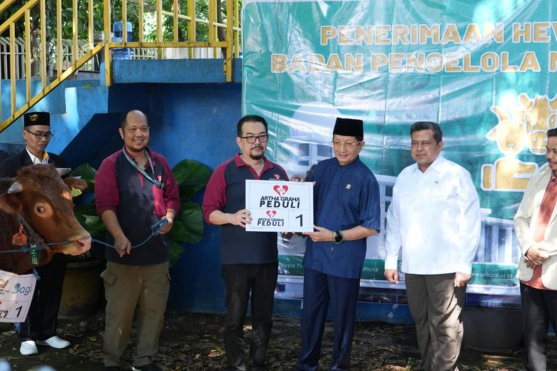 Istiqlal distribusi daging kurban berbasis data agar tepat sasaran ...