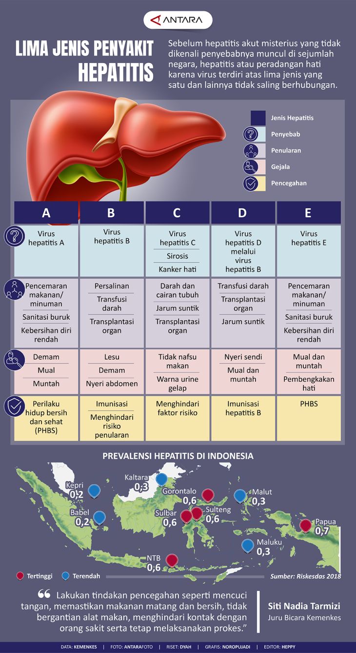 Lima jenis penyakit hepatitis - Infografik ANTARA News