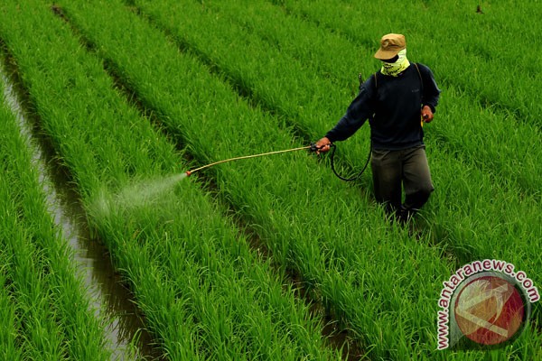 Blog Posts - czcrimson